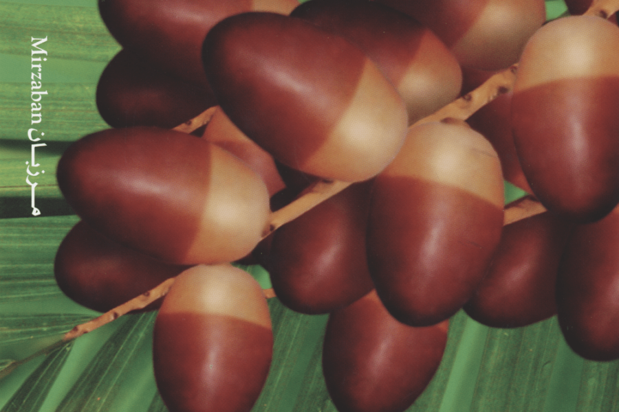 Emirates Post Shop | UAE Dates