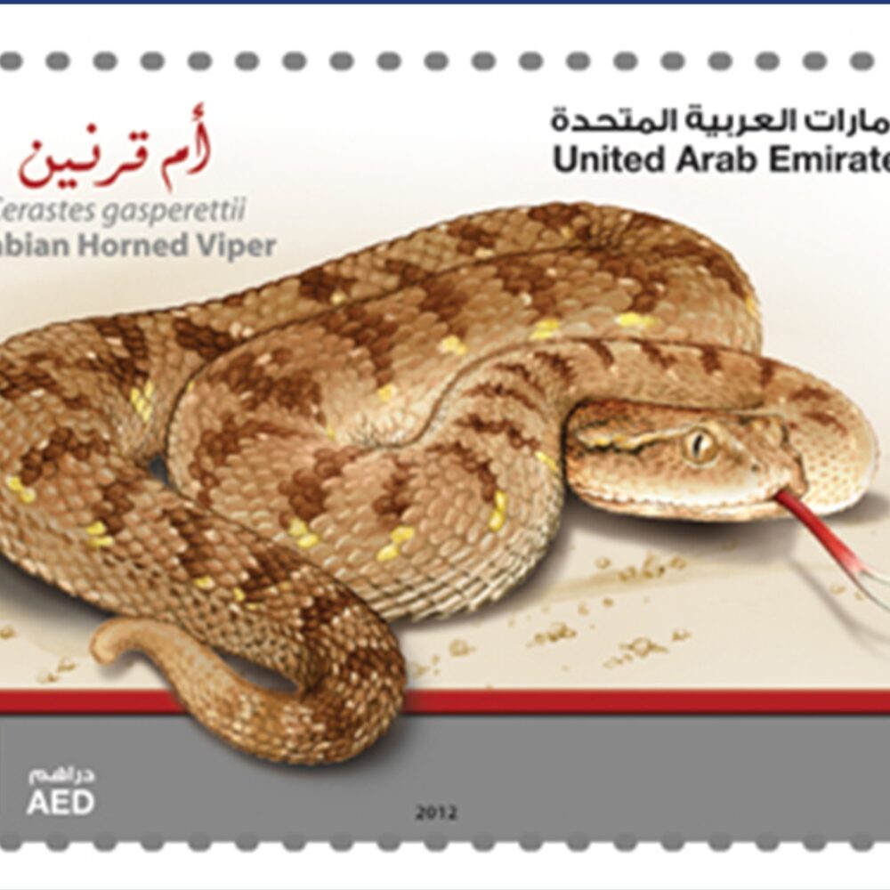 Emirates Post Shop | Desert Snakes in the UAE