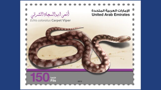 Emirates Post Shop | Desert Snakes in the UAE