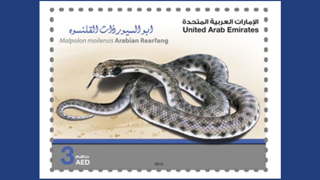 Emirates Post Shop | Desert Snakes in the UAE