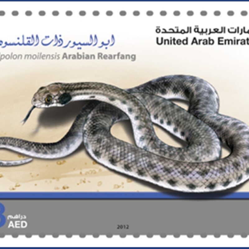Emirates Post Shop | Desert Snakes in the UAE