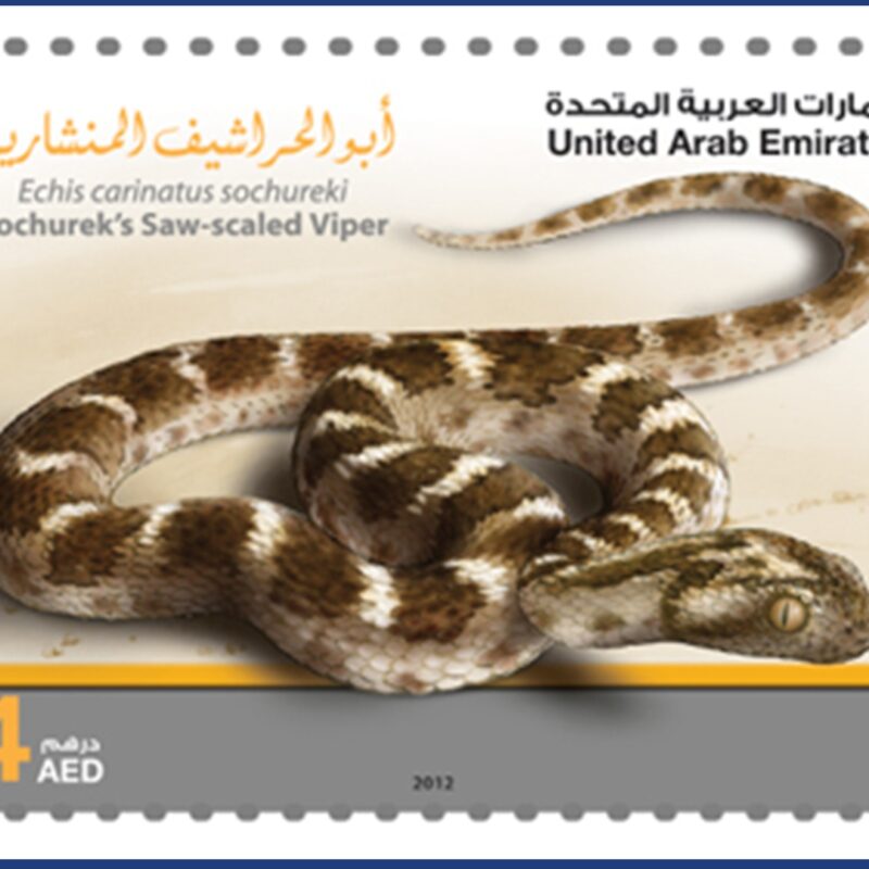 Emirates Post Shop | Desert Snakes in the UAE