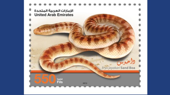 Emirates Post Shop | Desert Snakes in the UAE