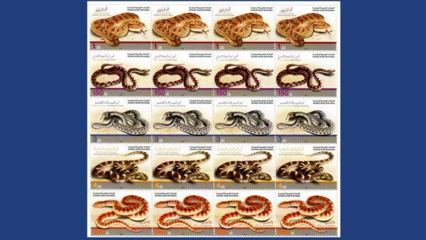 Emirates Post Shop | Desert Snakes in the UAE