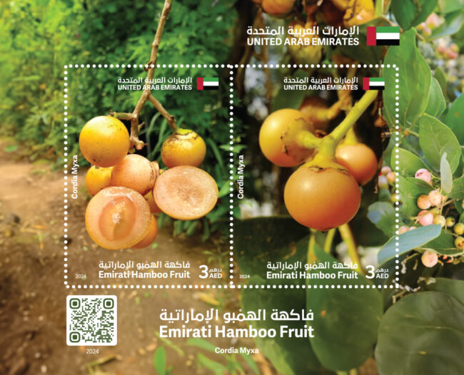 Emirates Post Shop | Shop